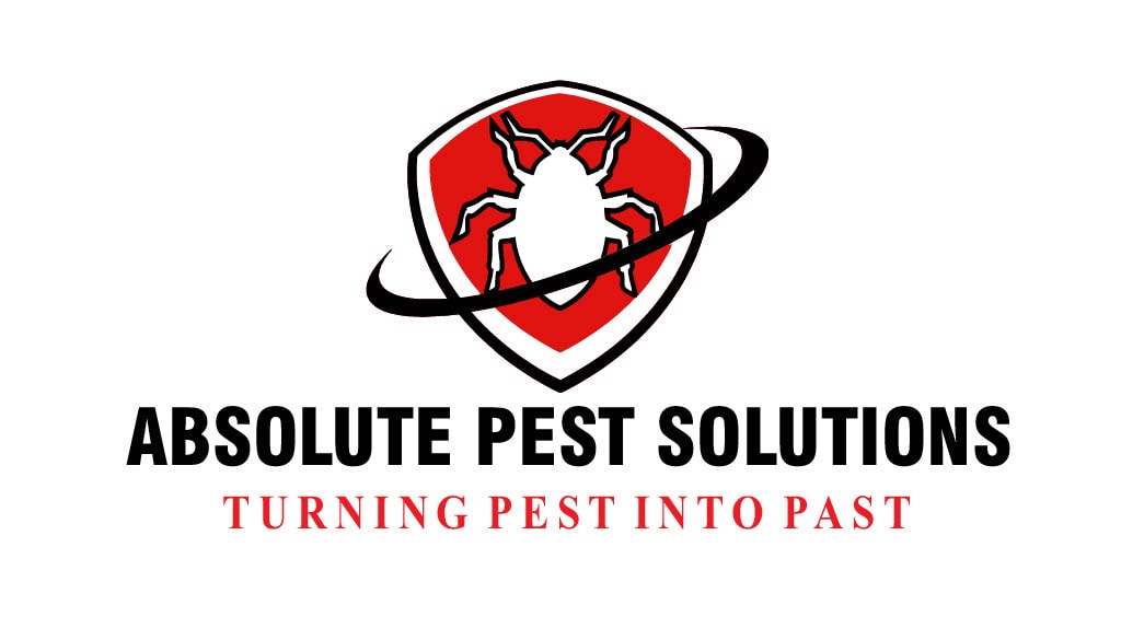 Pest Control Services Fraser Valley | Absolute Pest Solutions